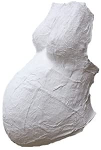 Luxury Belly Casting KIT – Everything You Need to Easily and Safely ...