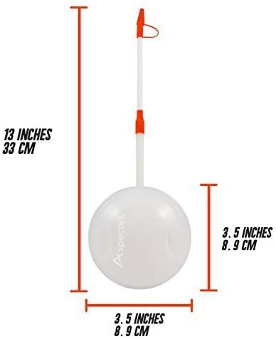 ASPECTEK Safe and Practical Insect and Ant Killer Powder Duster – BigaMart
