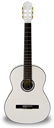APC instruments 1B Classical Guitar – BigaMart