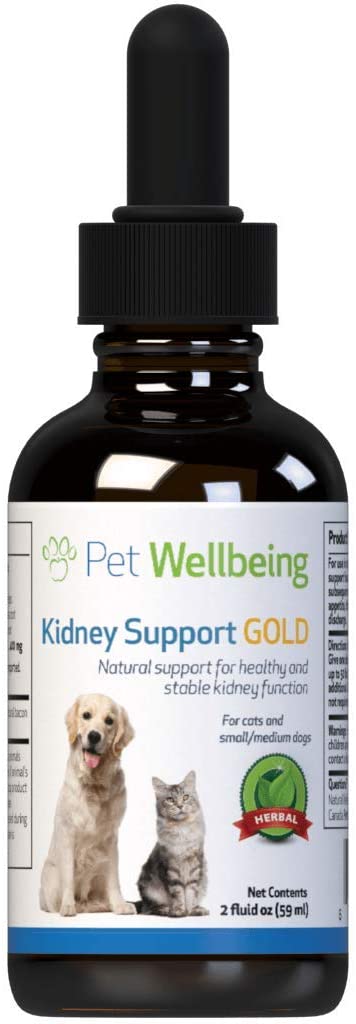 Pet Wellbeing – Kidney Support Gold For Cats – Natural Support For ...