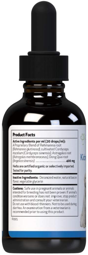 Pet Wellbeing – Kidney Support Gold For Cats – Natural Support For ...