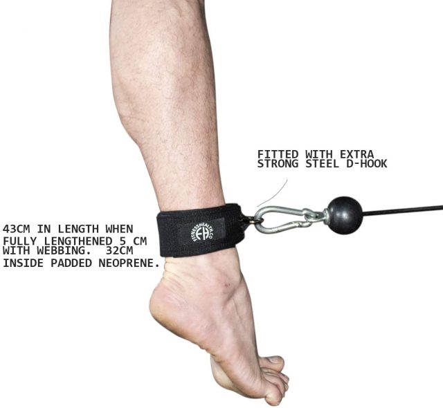 Fitness Health FH Gym Cable Machine Ankle Strap Attachment | Leg ...