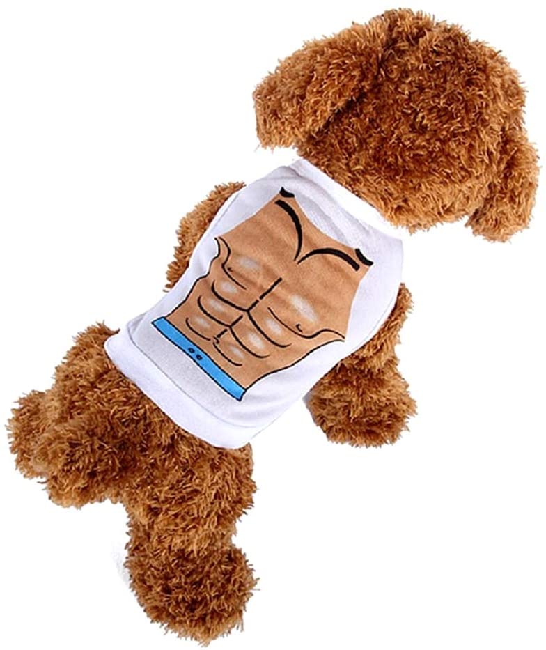 KIRALOVE Bodybuilder costume – print – bust – muscular – bodybuilding ...