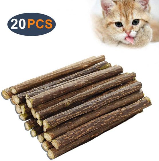 GingerUP Cat Catnip Sticks, Cat Catnip Toys Natural Matatabi Silvervine ...