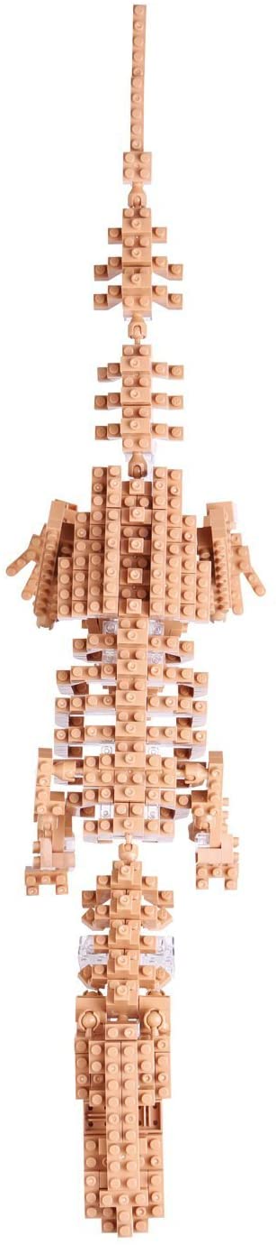 Brigamo T-Rex dinosaur skeleton building blocks, building toy with 580 ...