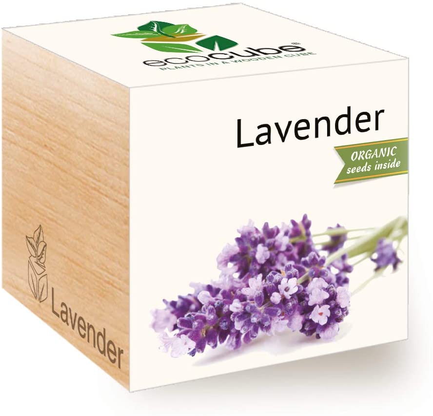 Feel Green Ecocube Lavender, Certified Organic, Grow Your Own Kit ...