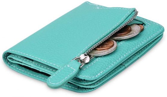 FT FUNTOR Small Wallet for Woman with Card Ladies Bifold Zipper Pocket ...