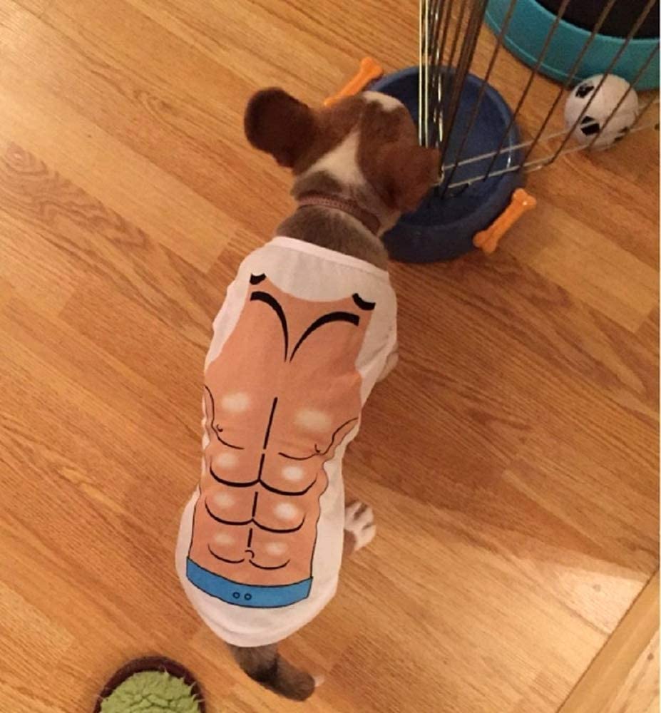 KIRALOVE Bodybuilder costume – print – bust – muscular – bodybuilding ...