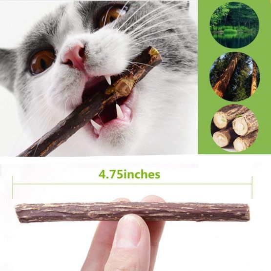 GingerUP Cat Catnip Sticks, Cat Catnip Toys Natural Matatabi Silvervine ...