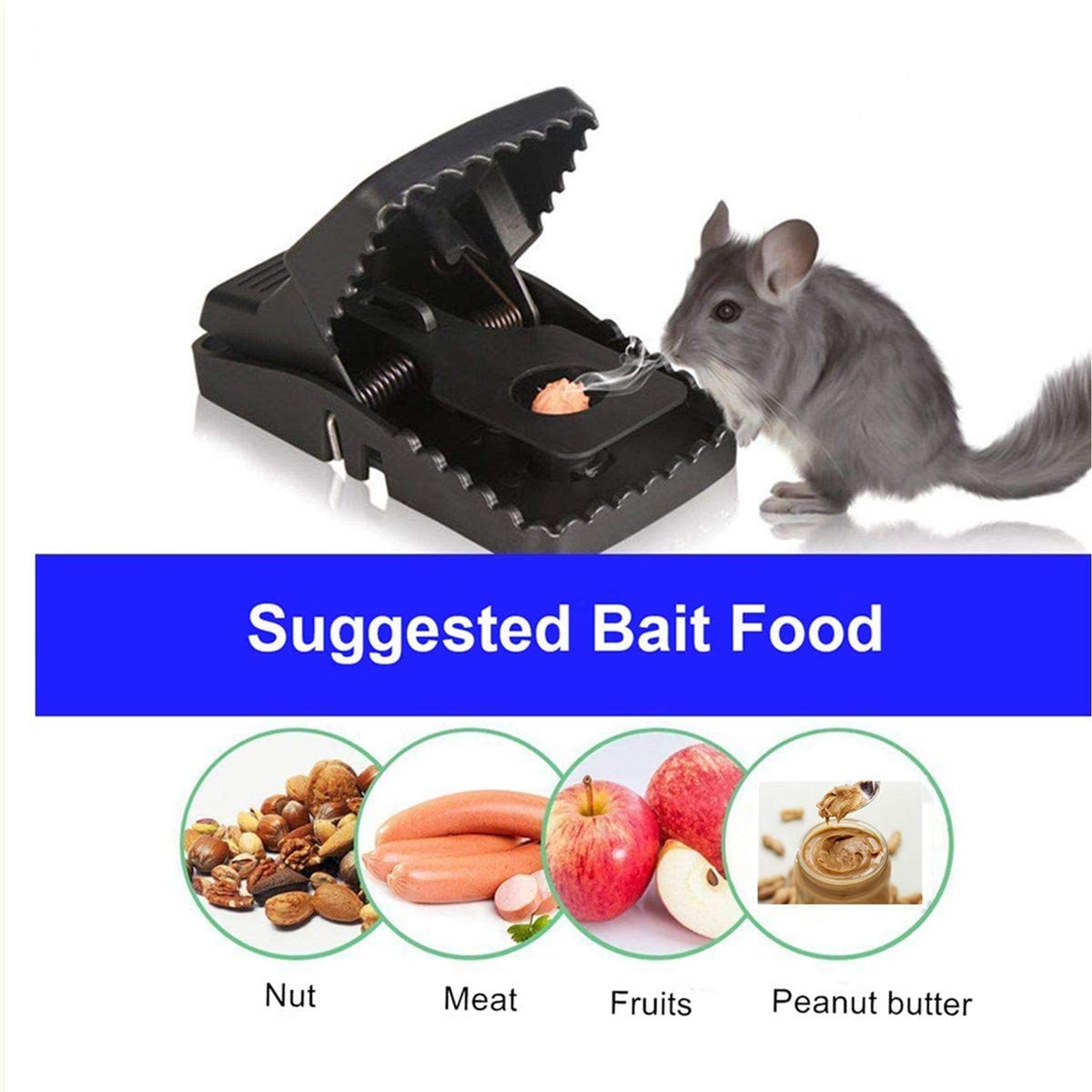 Wakana Mouse Trap, Reusable Best Small Mouse & Squirrel Traps That Work ...