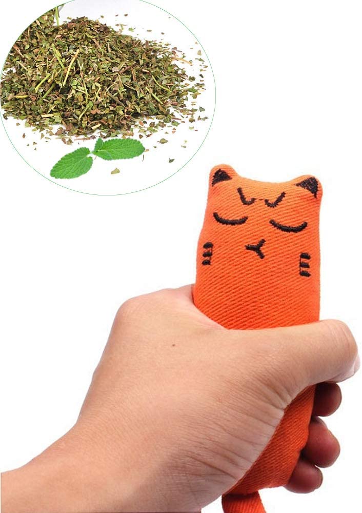 Catnip Toys Set 3Pcs Cat Toy Interactive Pets Pillow Chew Bite Supplies ...