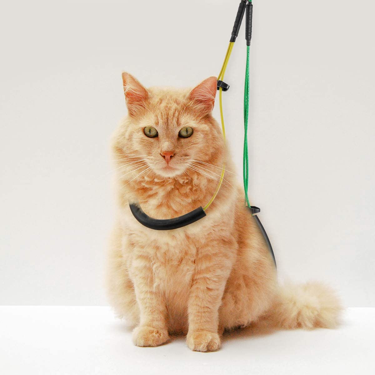 UEETEK Dog Grooming Restraint Rope Pet Grooming Noose Loop Pet Grooming ...