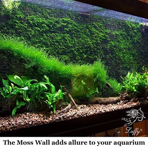 LUFFY Decorative Aquatic Moss Wall/Floor Mesh Kit – Create a Lush ...