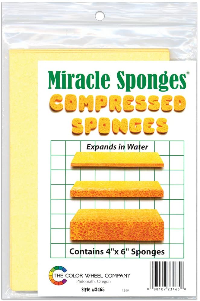 Color Wheel Compressed Sponges 3 kg-4-inch x 6-inch – BigaMart