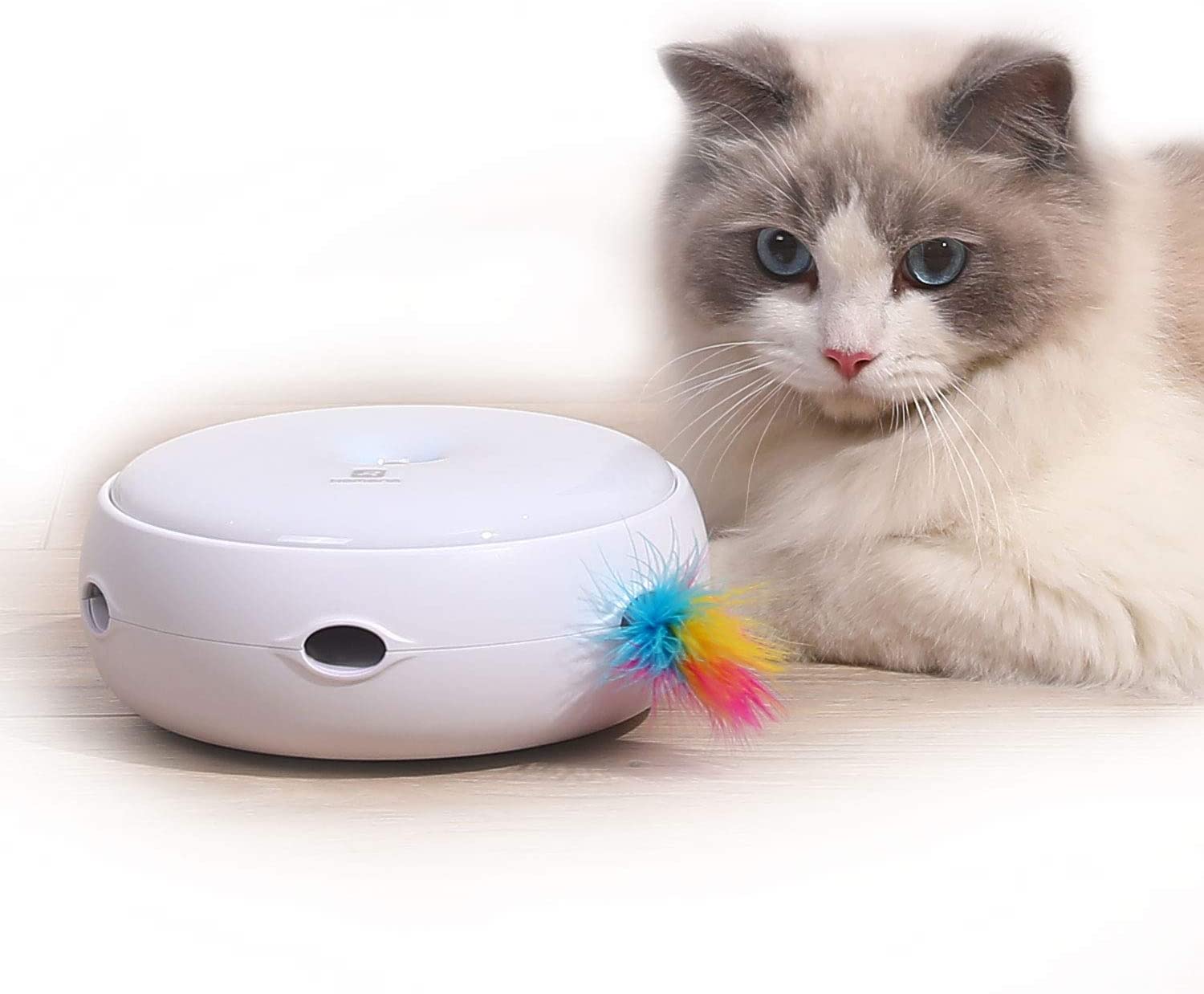 PETTOM Interactive Cat Teaser Toy 2020 UPGRADE Version, Electronic Auto ...