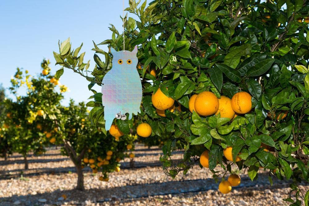 iNeibo Bird Repellent Owl Bird Scared – Simple Reflective Control ...