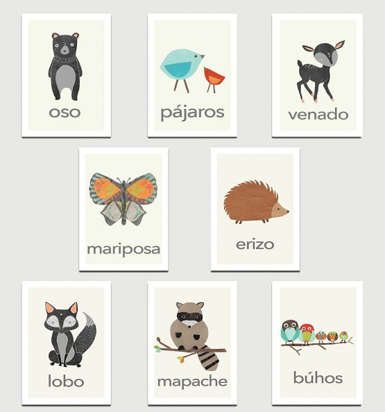 Children Inspire Design Nature Animals in Spanish Mini Collection Wall ...