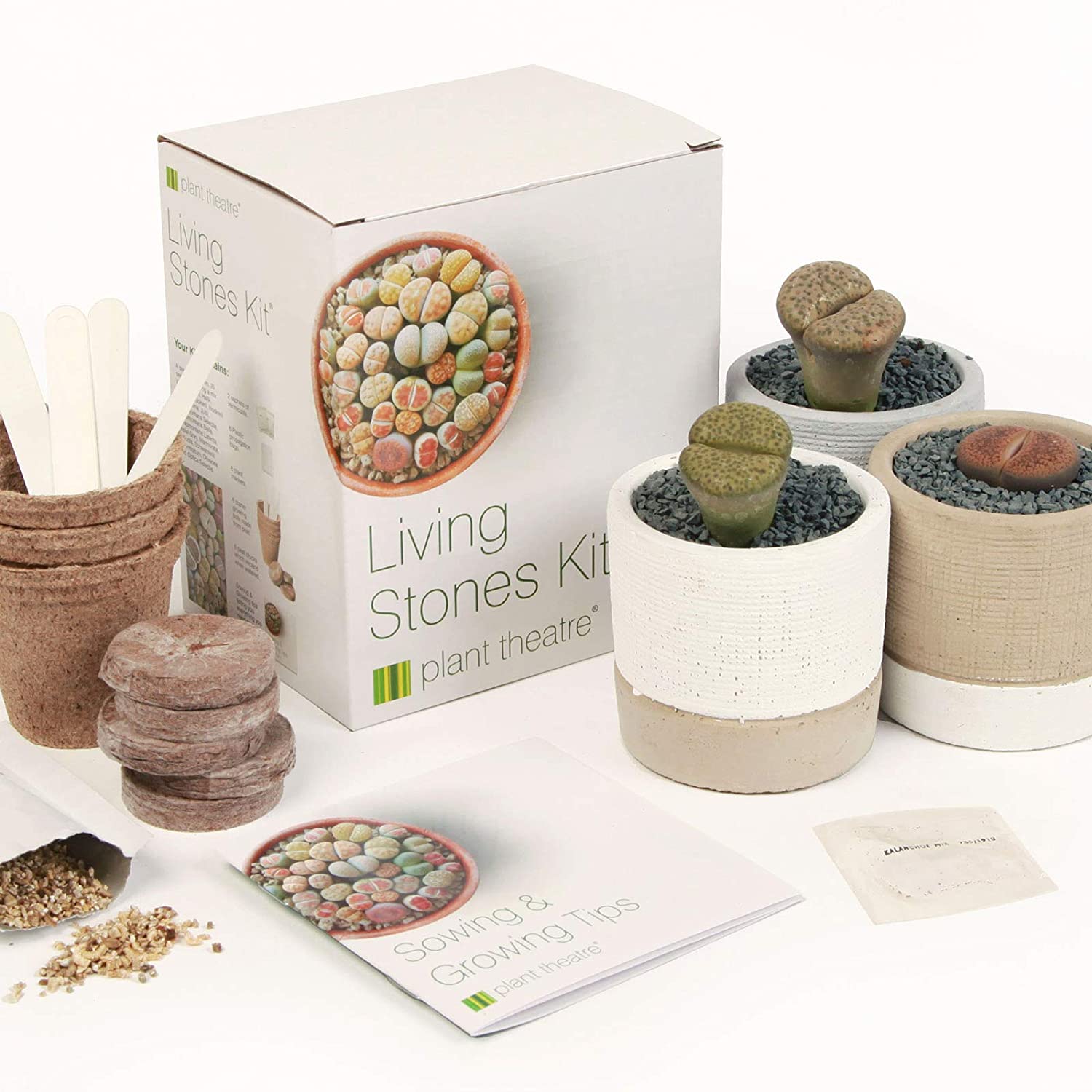 Plant Theatre Living Stones Kit – Lithops Gift Seed Kit – Everything ...