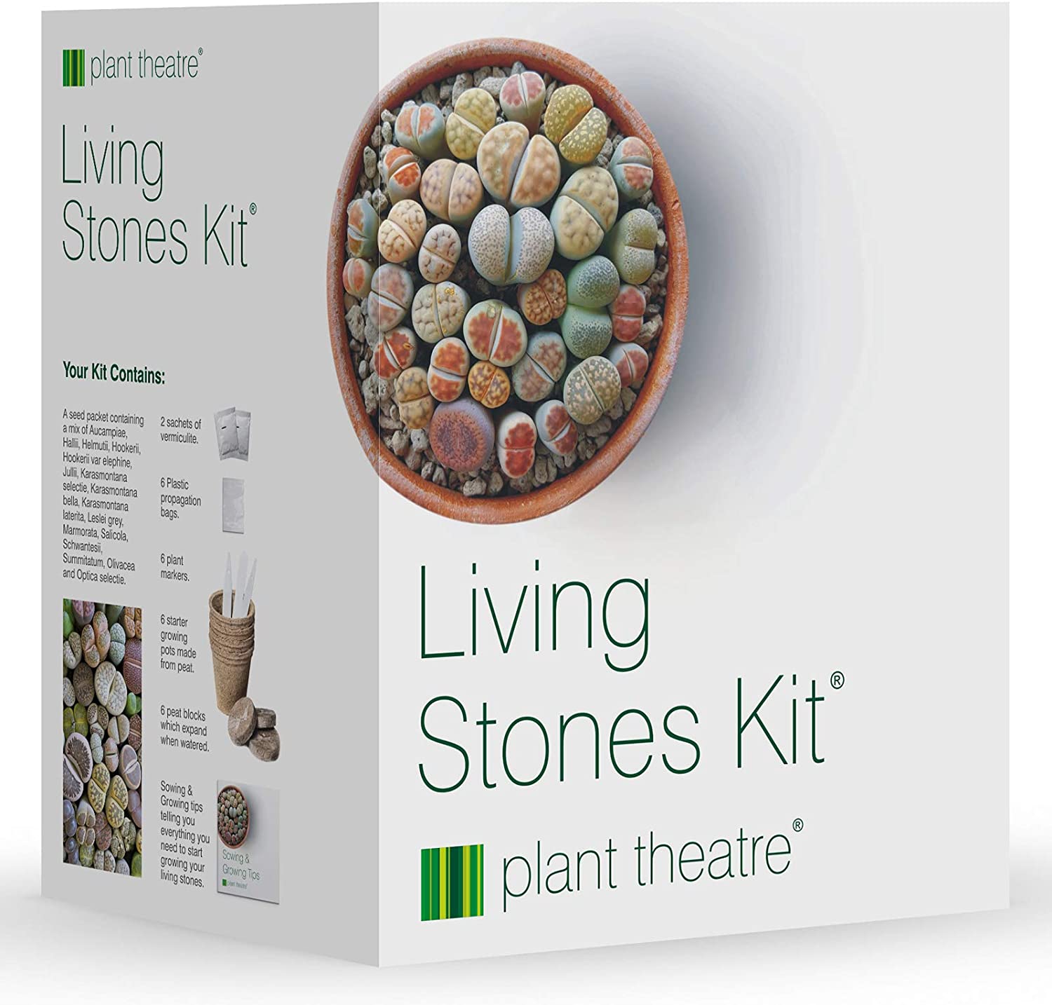 Plant Theatre Living Stones Kit – Lithops Gift Seed Kit – Everything ...