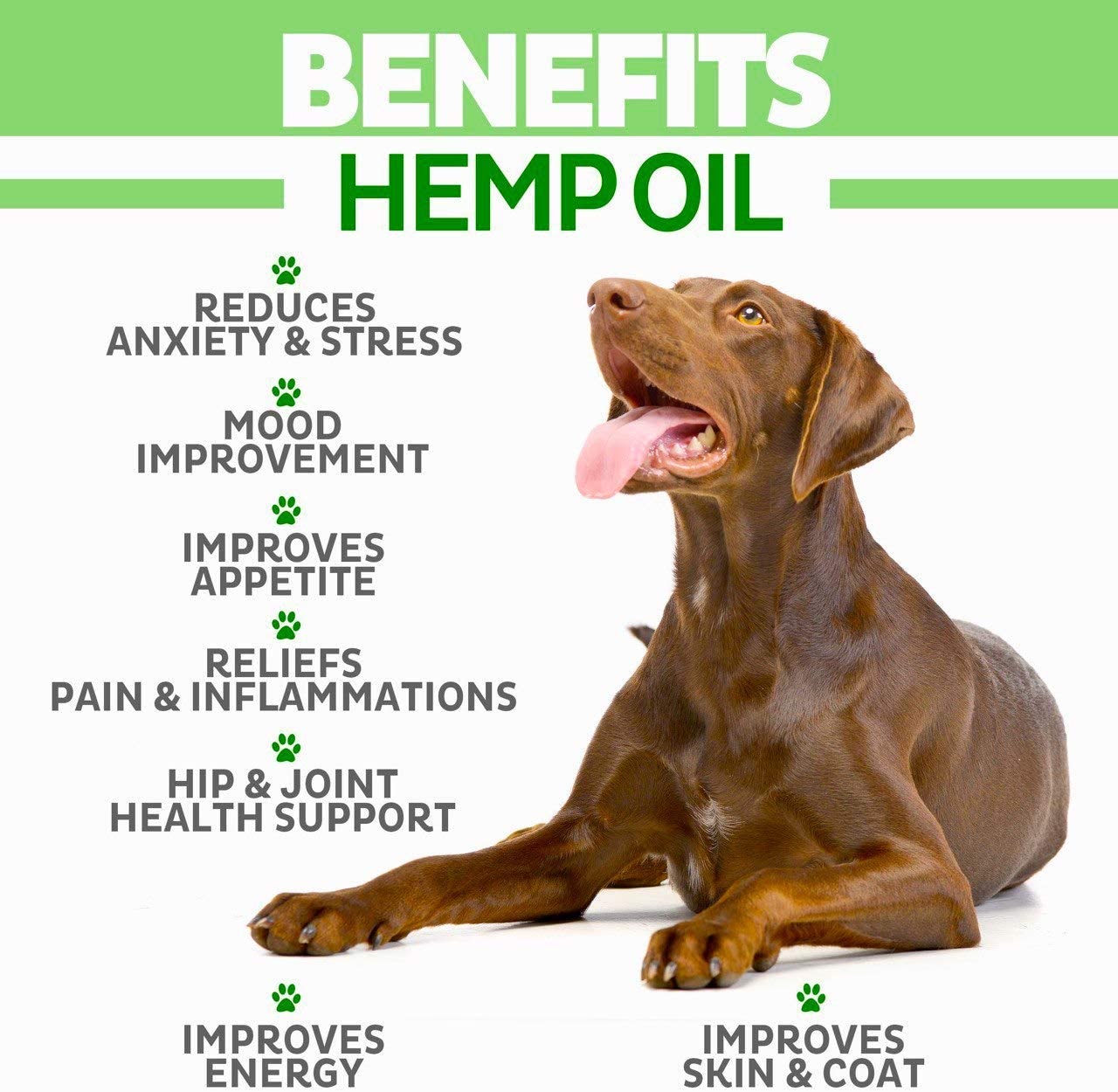 Kinpur Natural Hemp Oil for Dogs and Cats – 500,000mg – Pet Hemp Oil ...