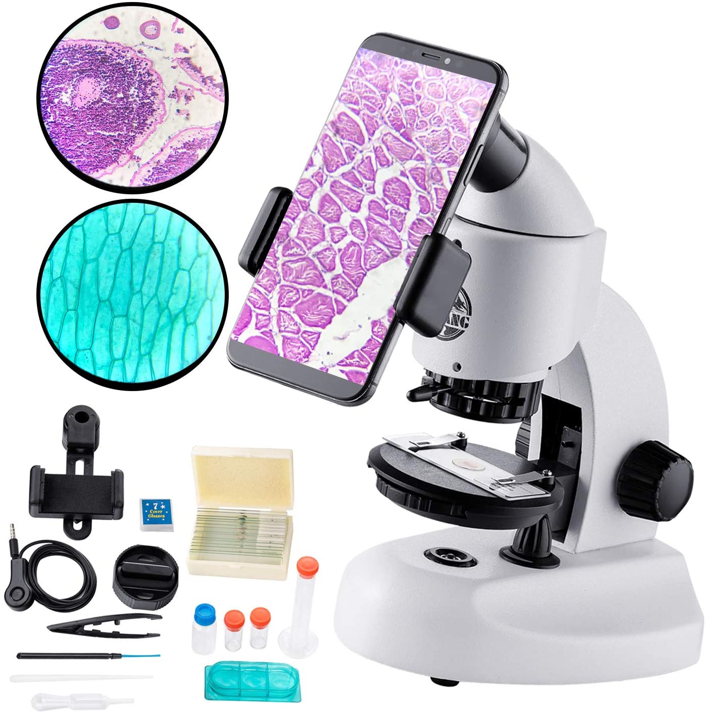 BEBANG Microscope for Kids and Student, Optics Glass Lens, Dual-Light ...