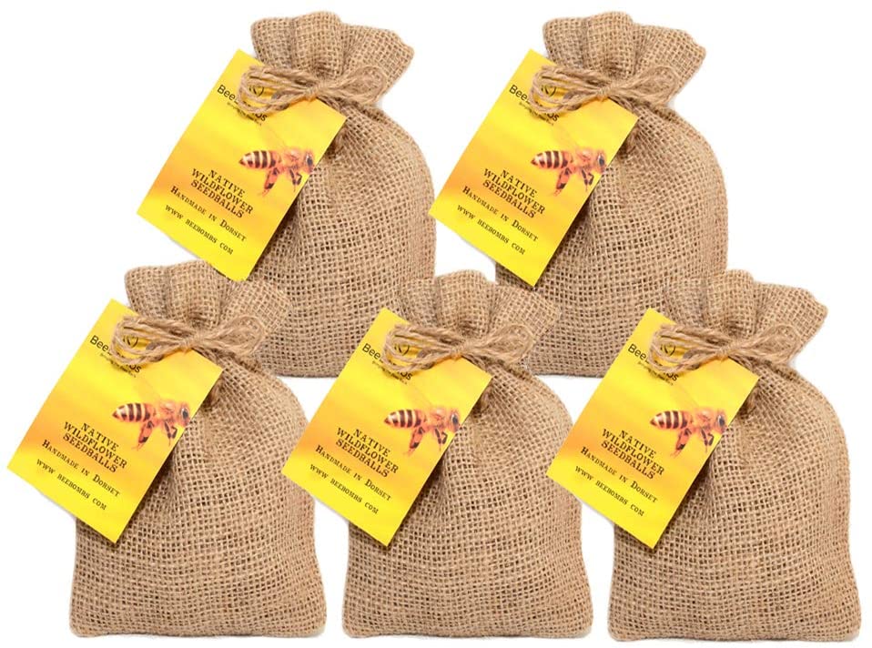 5 Packs of Beebombs Wild Flower Seeds UK Native Mix, Wildflower Meadow ...