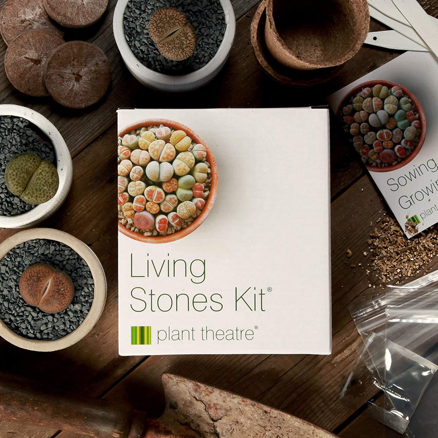Plant Theatre Living Stones Kit – Lithops Gift Seed Kit – Everything ...