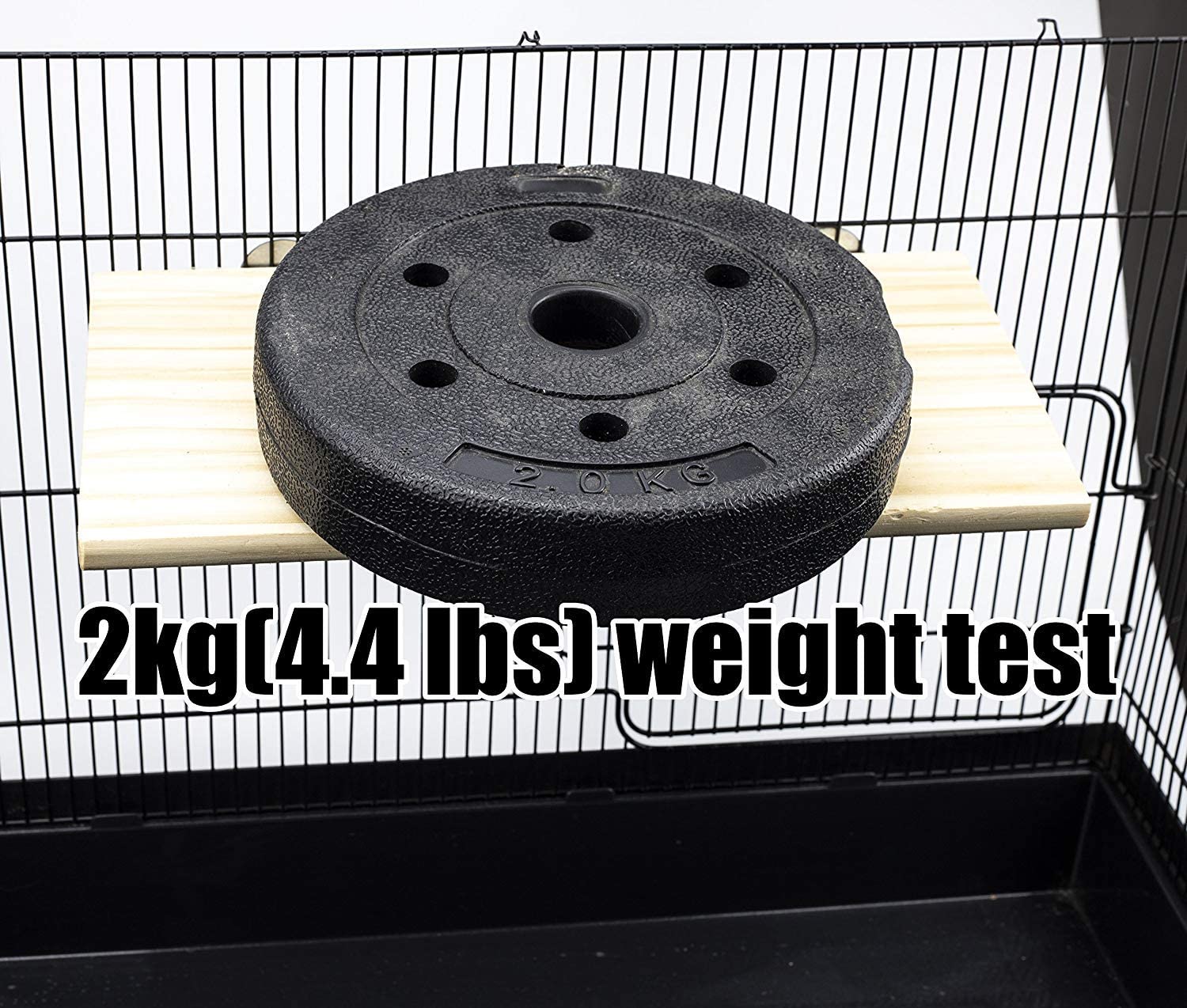 GNB PET Natural Wood Stand Platform,5”x11”Springboard for Hamster Mice ...