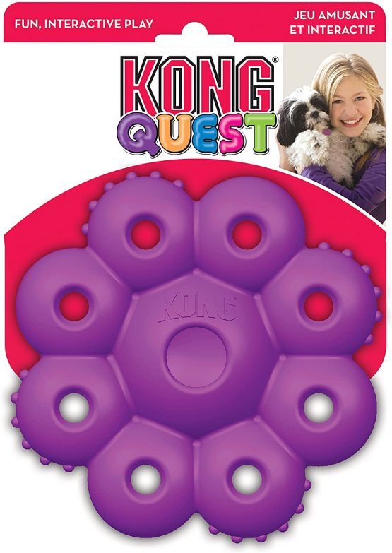 KONG – Quest Star Pod – Treat Dispensing Dog Toy for Light to Moderate ...