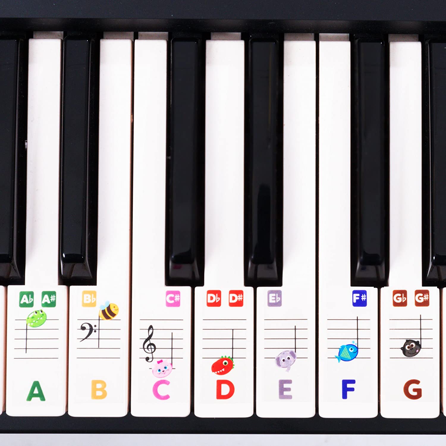 Dinosaur Keys piano keyboard stickers and beginner music course for ...