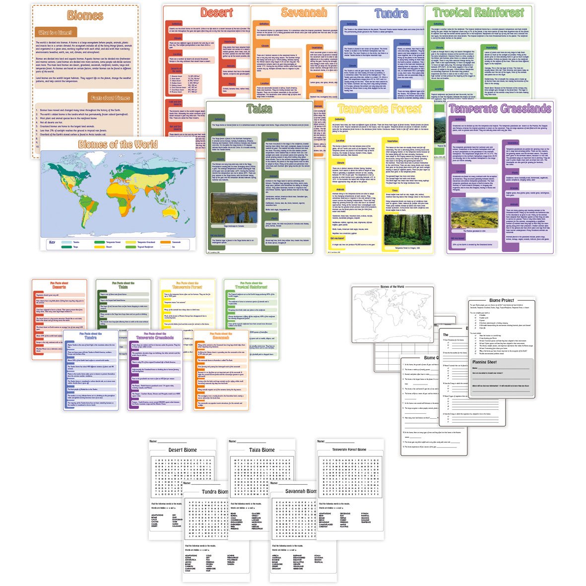 Springboard 20049 Biomes Teaching Resource and Activity Pack KS2 – BigaMart