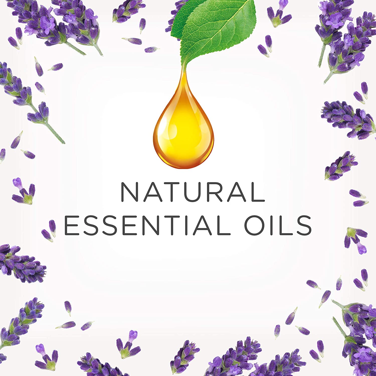 AirWick Essential Oils Air Freshener, Electrical Plug in Kit Gadget and ...