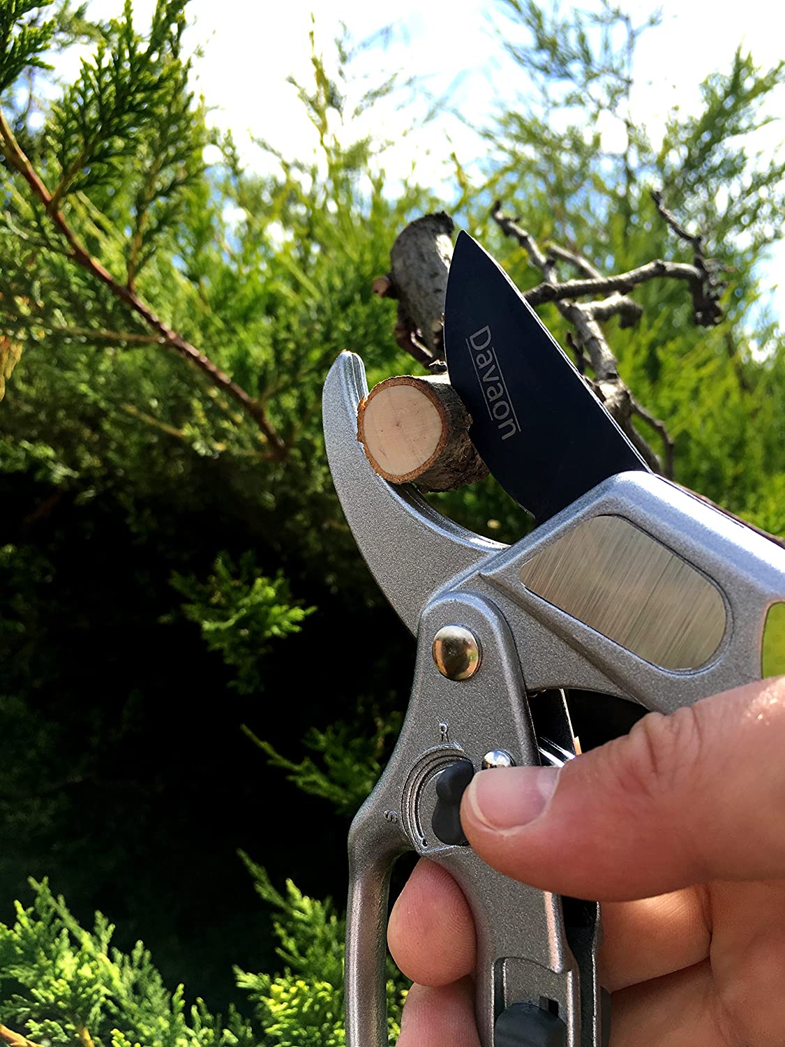 2-in-1 Secateurs with Switch Mechanism – Ratchet and Single-Cut-Mode ...