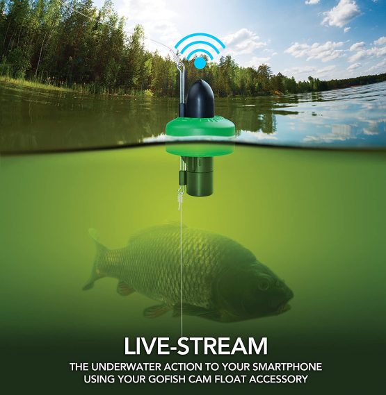GoFish Cam Wireless Underwater Fishing Camera with Float Accessory ...