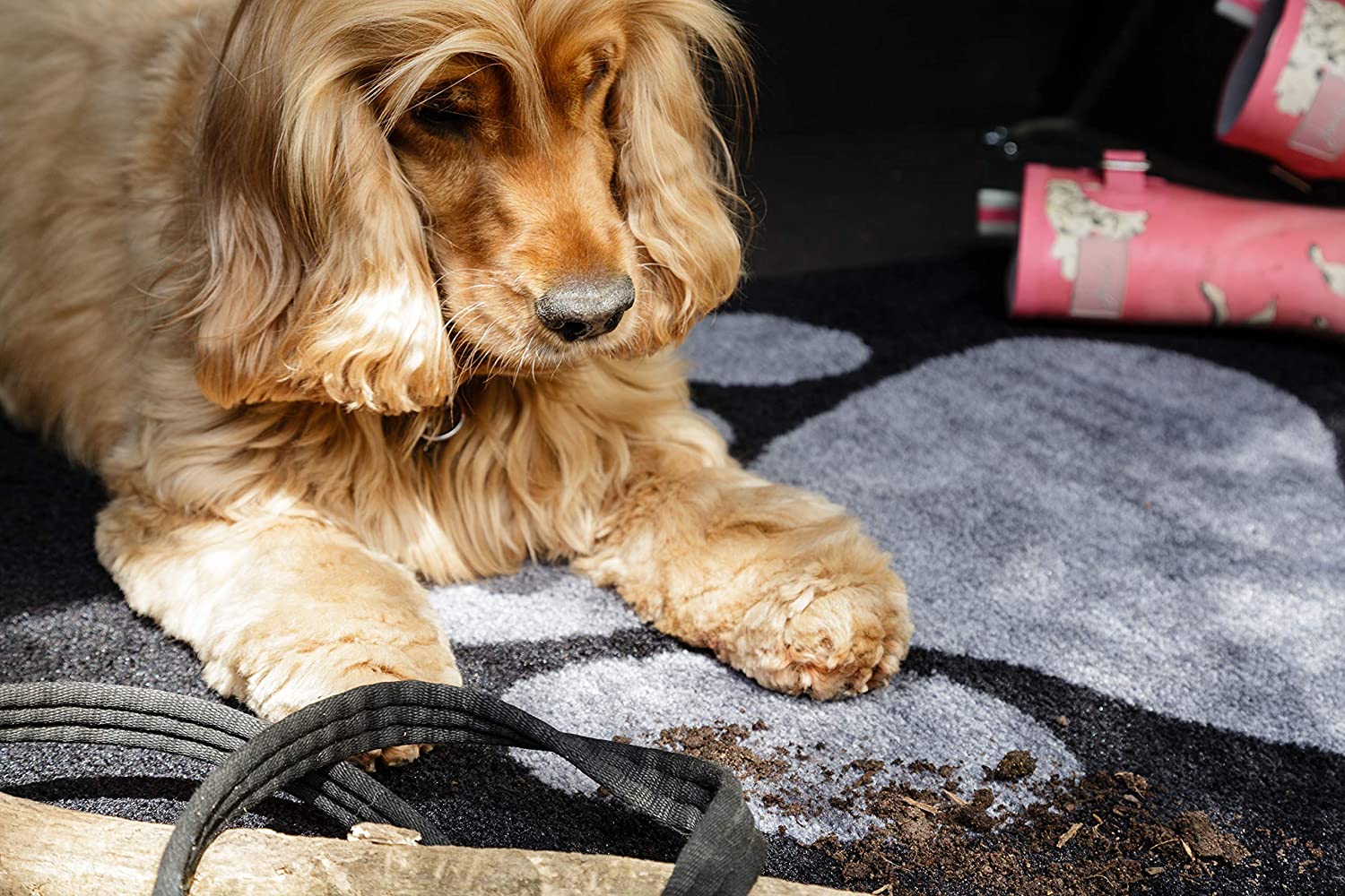 Pet Rebellion Boot Mate Absorbent Washable Car Boot Dog Mat to Protect ...