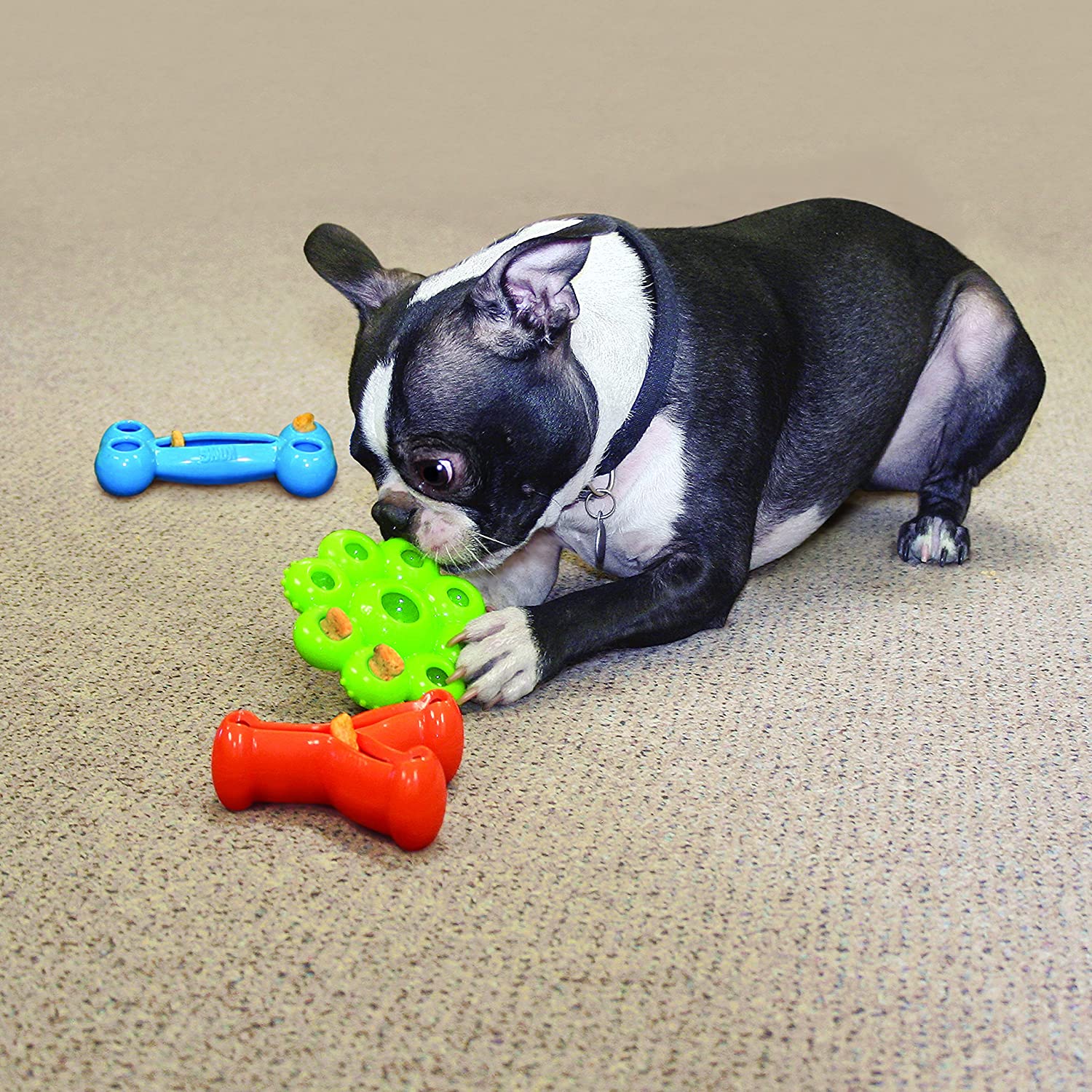 KONG – Quest Star Pod – Treat Dispensing Dog Toy for Light to Moderate ...