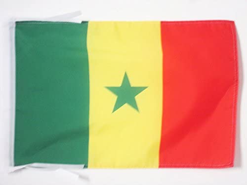 AZ FLAG Senegal Flag 18” x 12” cords – Senegalese SMALL flags 30 x 45cm ...