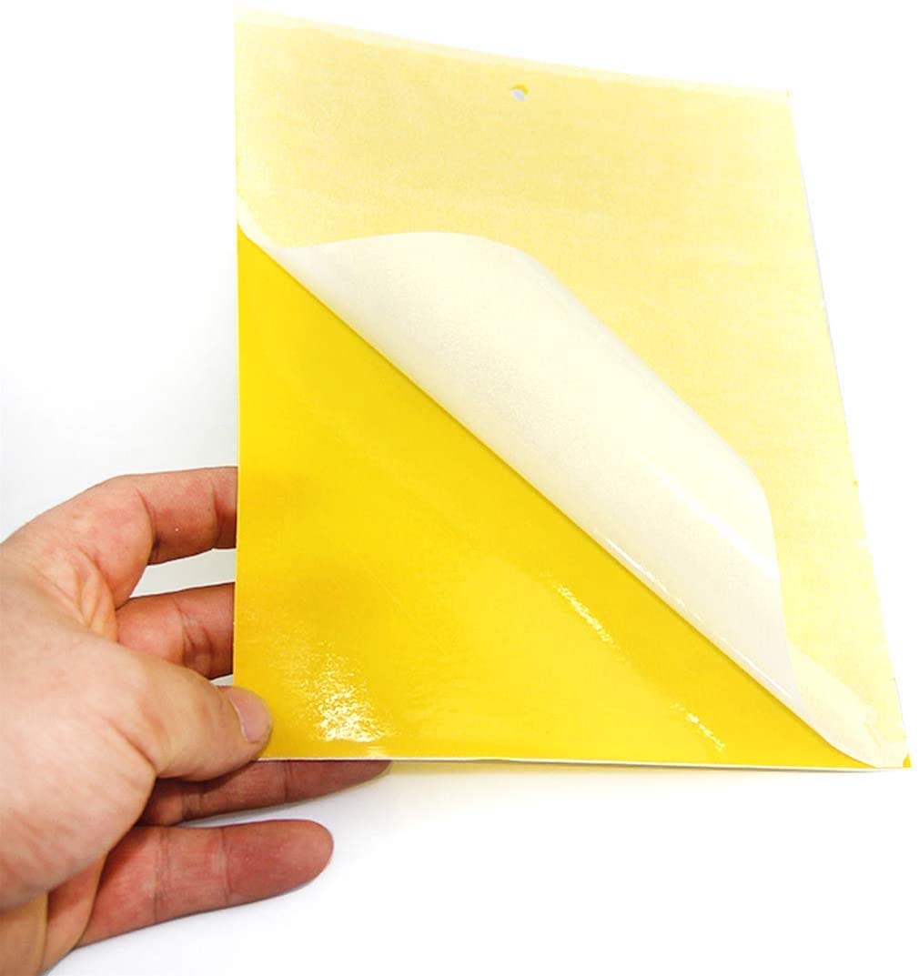 15PCS Yellow Sticky Fly Traps Dual-Sided Fly Paper Stickers Sticky Fly ...