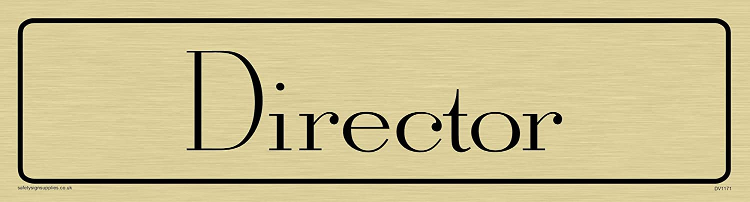 Viking Signs DV1171-L26-GV”Director” Door Sign, Antique Roman Font ...