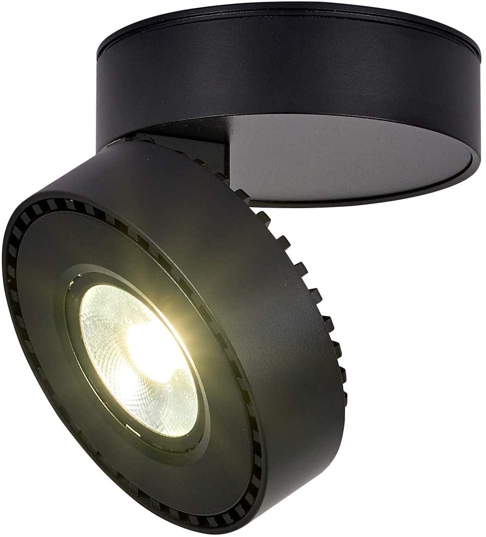 Dr Indoor 12W LED Adjustable Ceiling Spots Ceiling lamp Ceiling Light ...