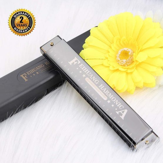 Harmonica Key of C 24 Holes Stainless Steel Major Diatonic Double ...