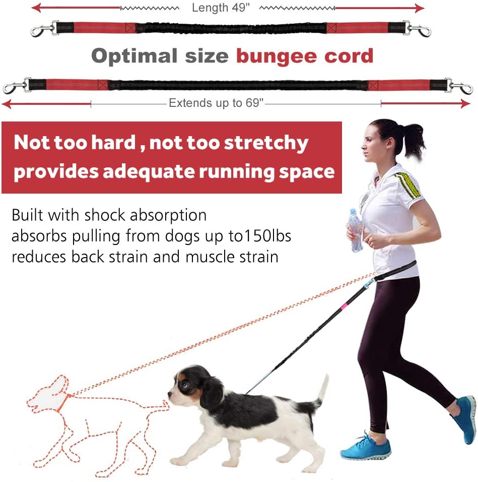 LANNEY Hands Free Dog Leash for Running Walking Training Hiking, Dual ...