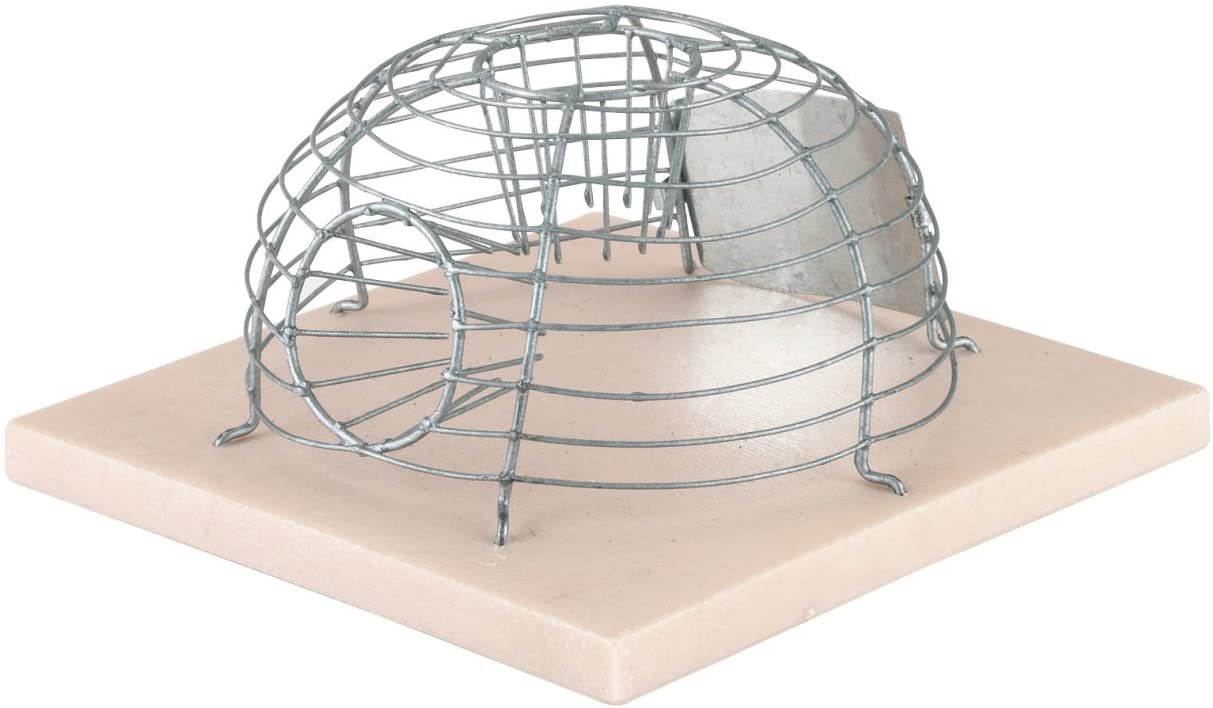 Kerbl Mousecage 299617 Basket Mouse Trap with 2 Entrances – BigaMart