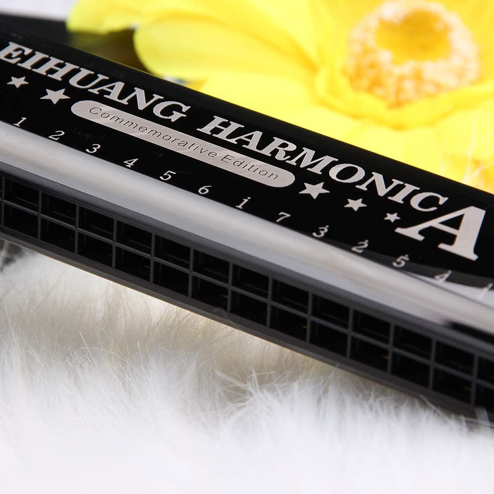 Harmonica Key of C 24 Holes Stainless Steel Major Diatonic Double ...