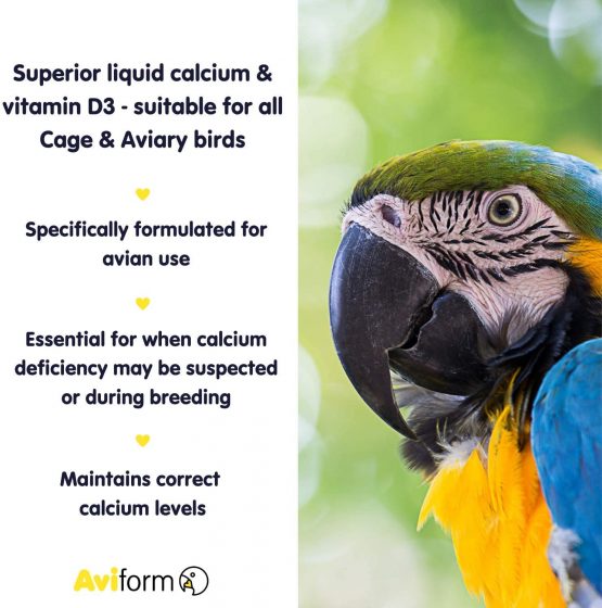Aviform Calciform HiD3 Liquid Calcium for Birds 250ml – Fully Water ...