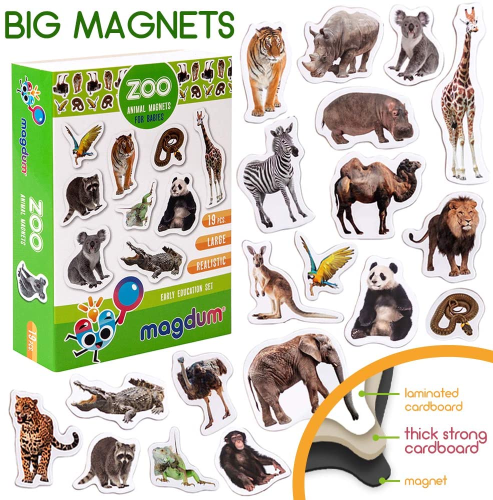 MAGDUM PHOTO ZOO animal magnets for kids -real LARGE fridge magnets for ...
