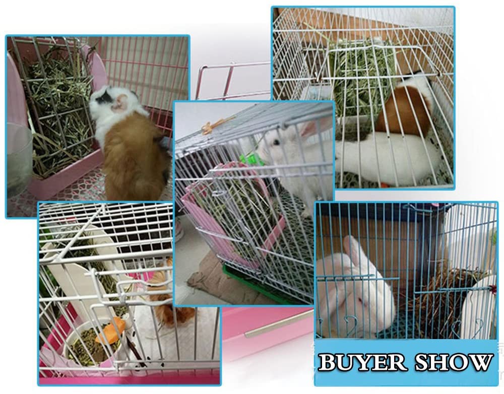 Amakunft Guinea Pigs Hay Feeder Rack, Rabbit Mess-Free Alfalfa ...