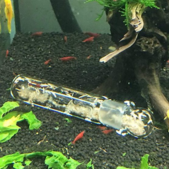 2 PCS Clear Crystal Glass Planaria Trap Worm Catch Pen Shrimp Leeches ...