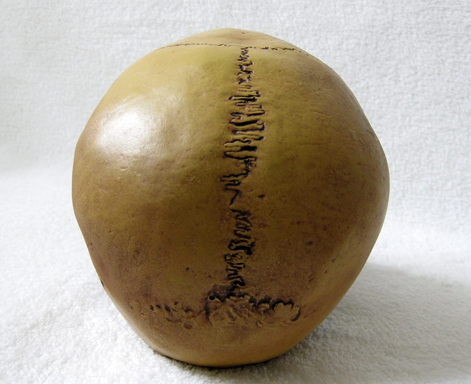 Anatomical Skull with Lower Jaw by Markus Mayer – BigaMart