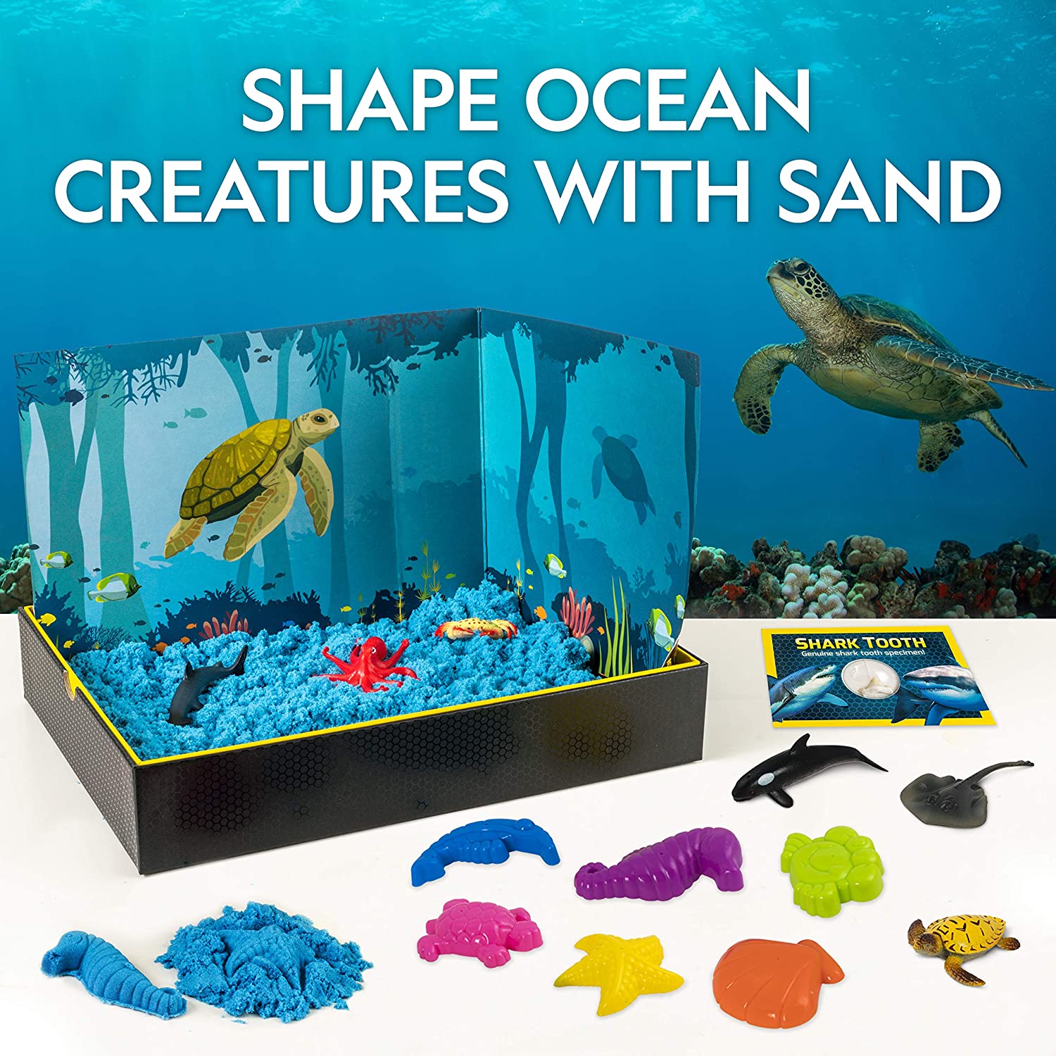 National Geographic Ocean Play Sand 907 Grams Of Play Sand 6 Moulds National Geographic Ocean Play Sand 907 Grams Of Play Sand 6 Moulds